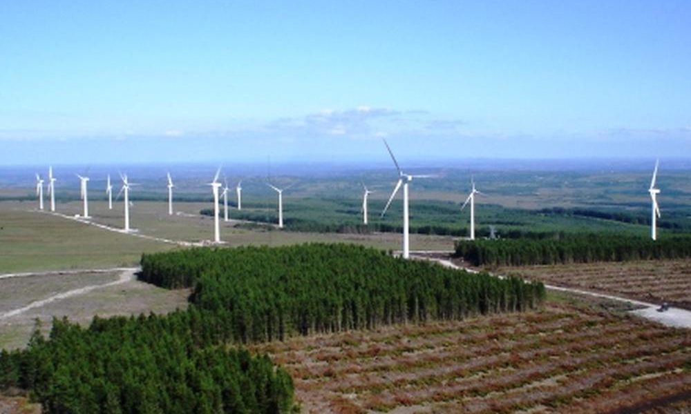 Wind farm closure is ‘madness’ during energy crisis – ARCHIVE ...