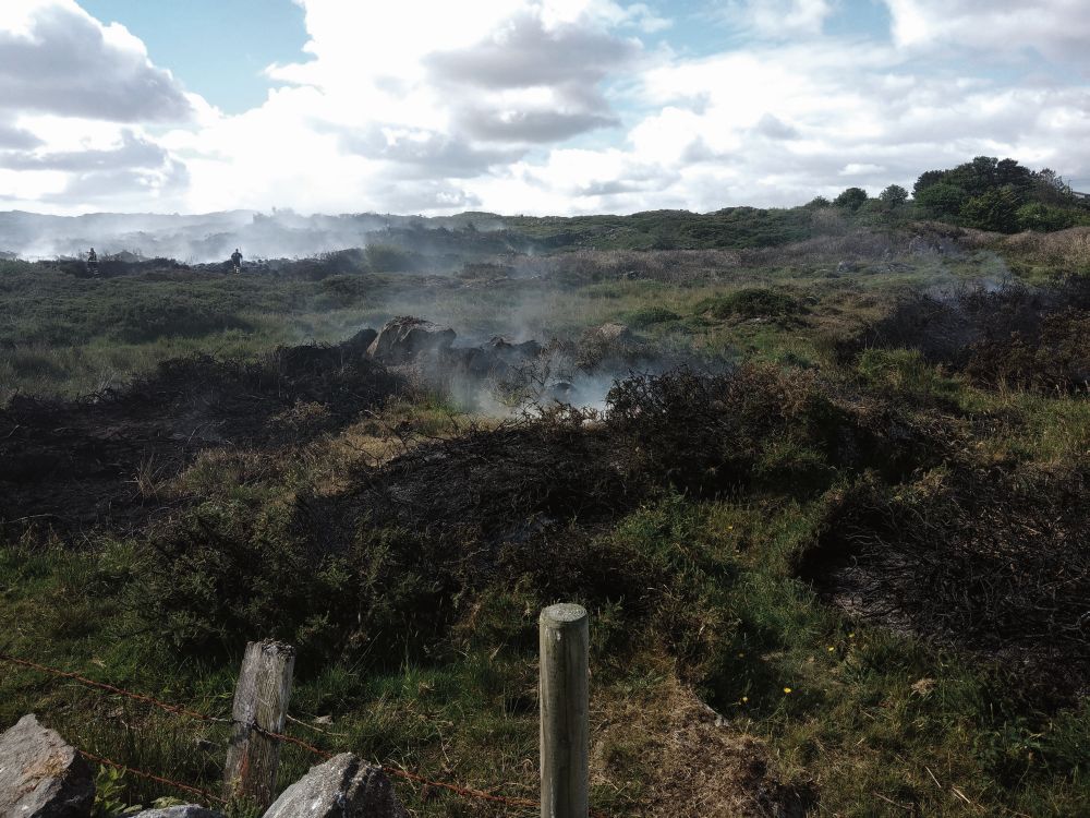 Farmer admitted lighting gorse fire which threatened house – ARCHIVE ...